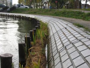 Natuurvriendelijke oevers – Singel 030